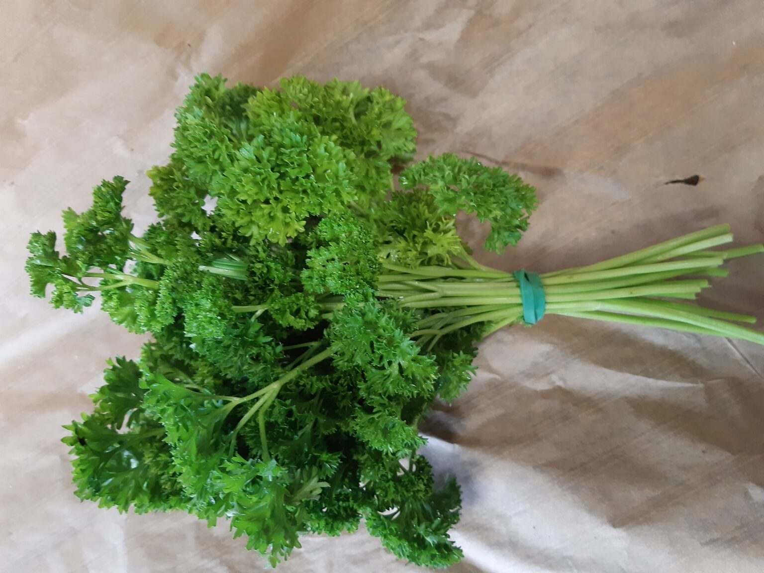 Bouquet de persil – Le Potager d'ici