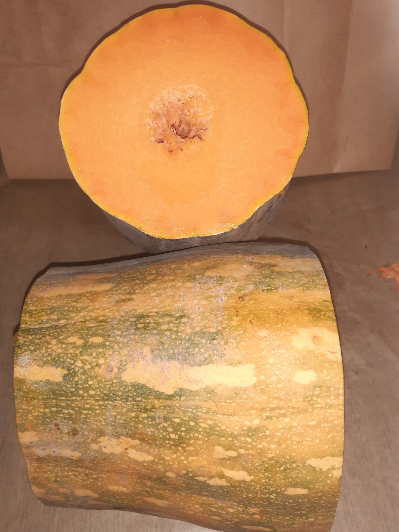 Courge pleine de naples – Le Potager d'ici